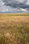 A Thrilling Narrative of Indian Captivity: Dispatches from the Dakota ...